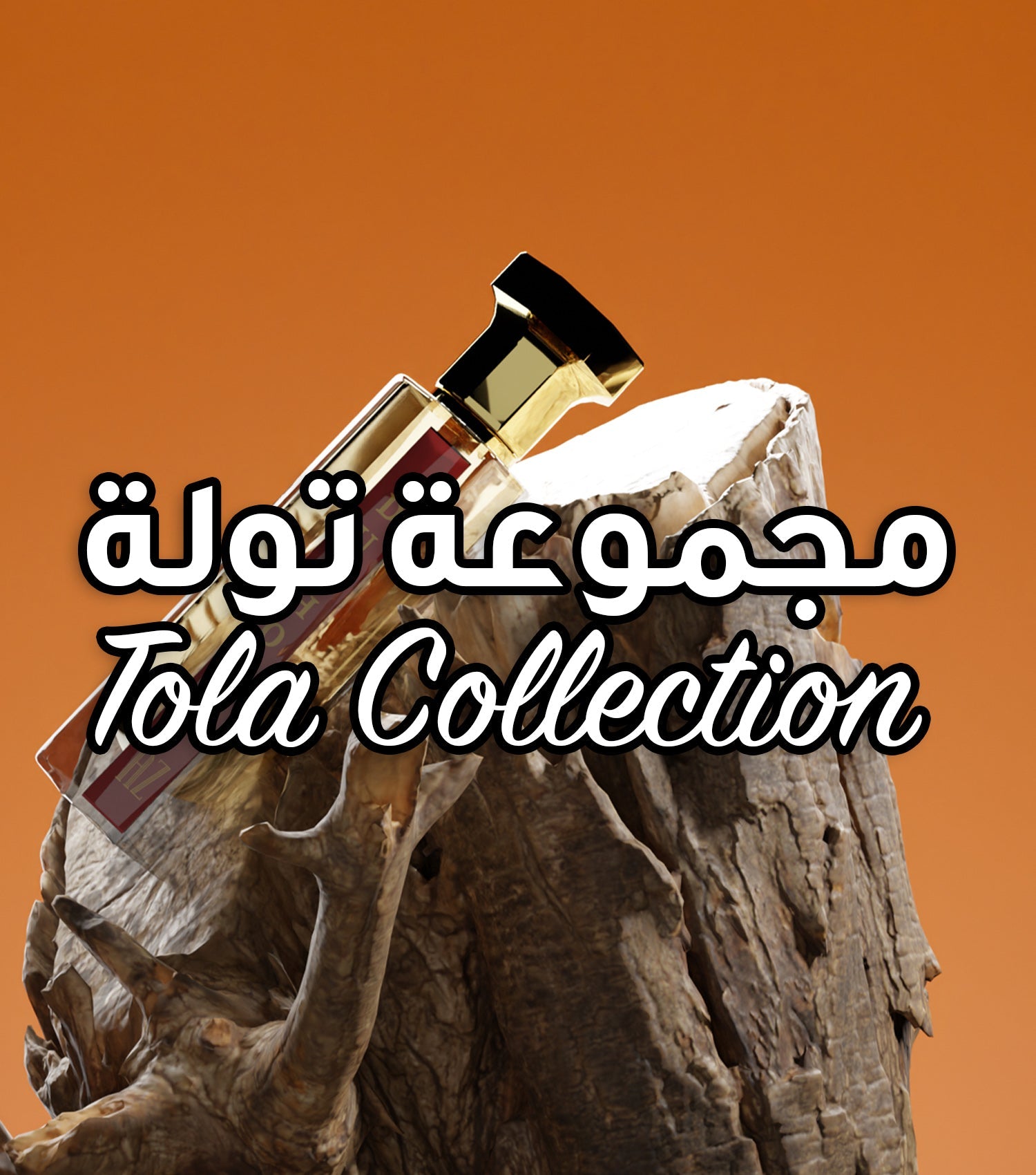 Tola Collection – AZARI PERFUMES TR